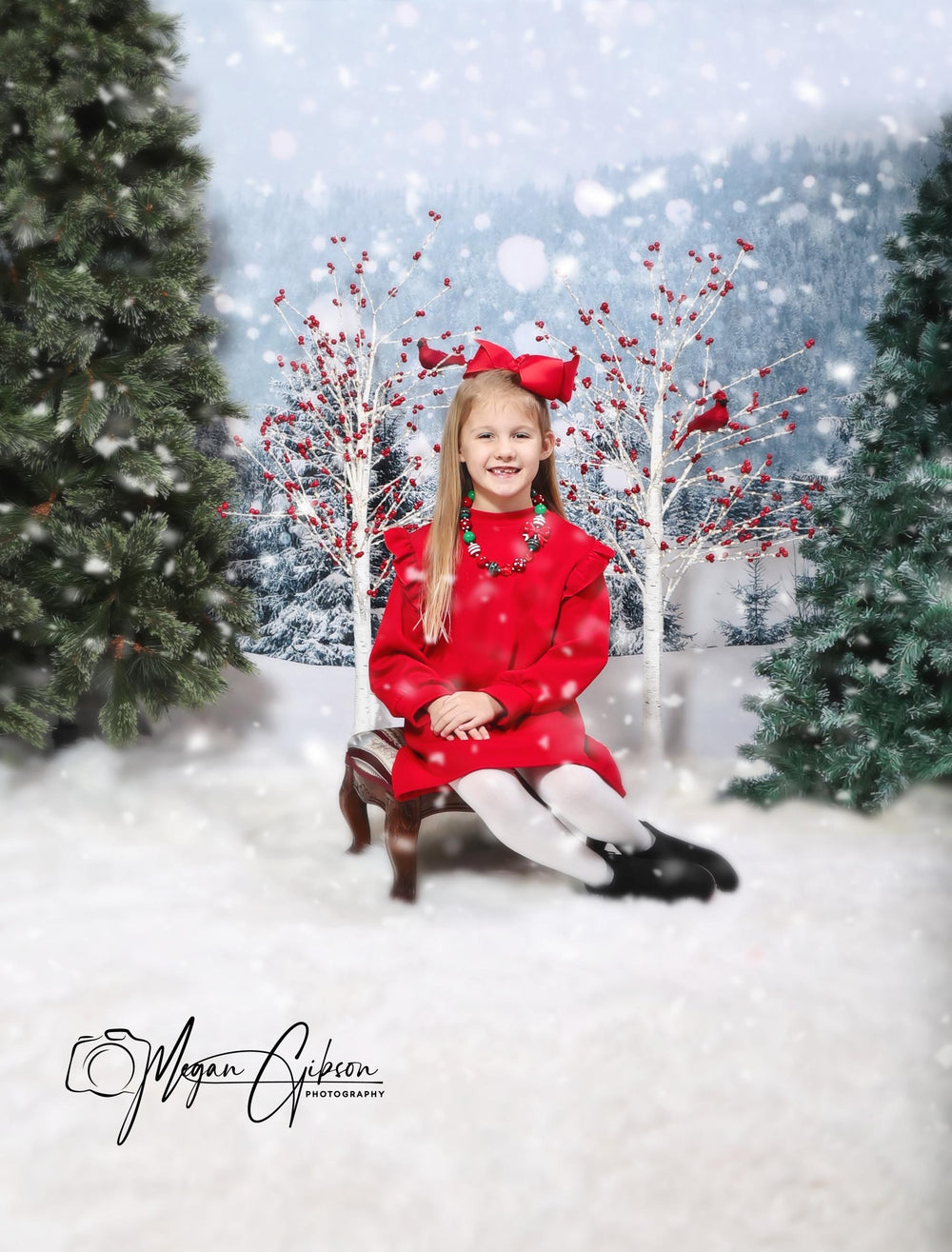 Gray Snow Scene backdrop UK for Christmas GX-1074