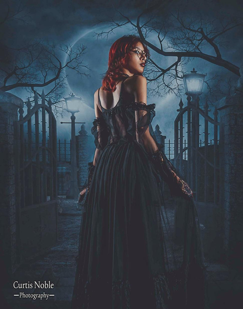 Festival Backdrops Halloween Dark Night Background Pale Moonlight IBD ...