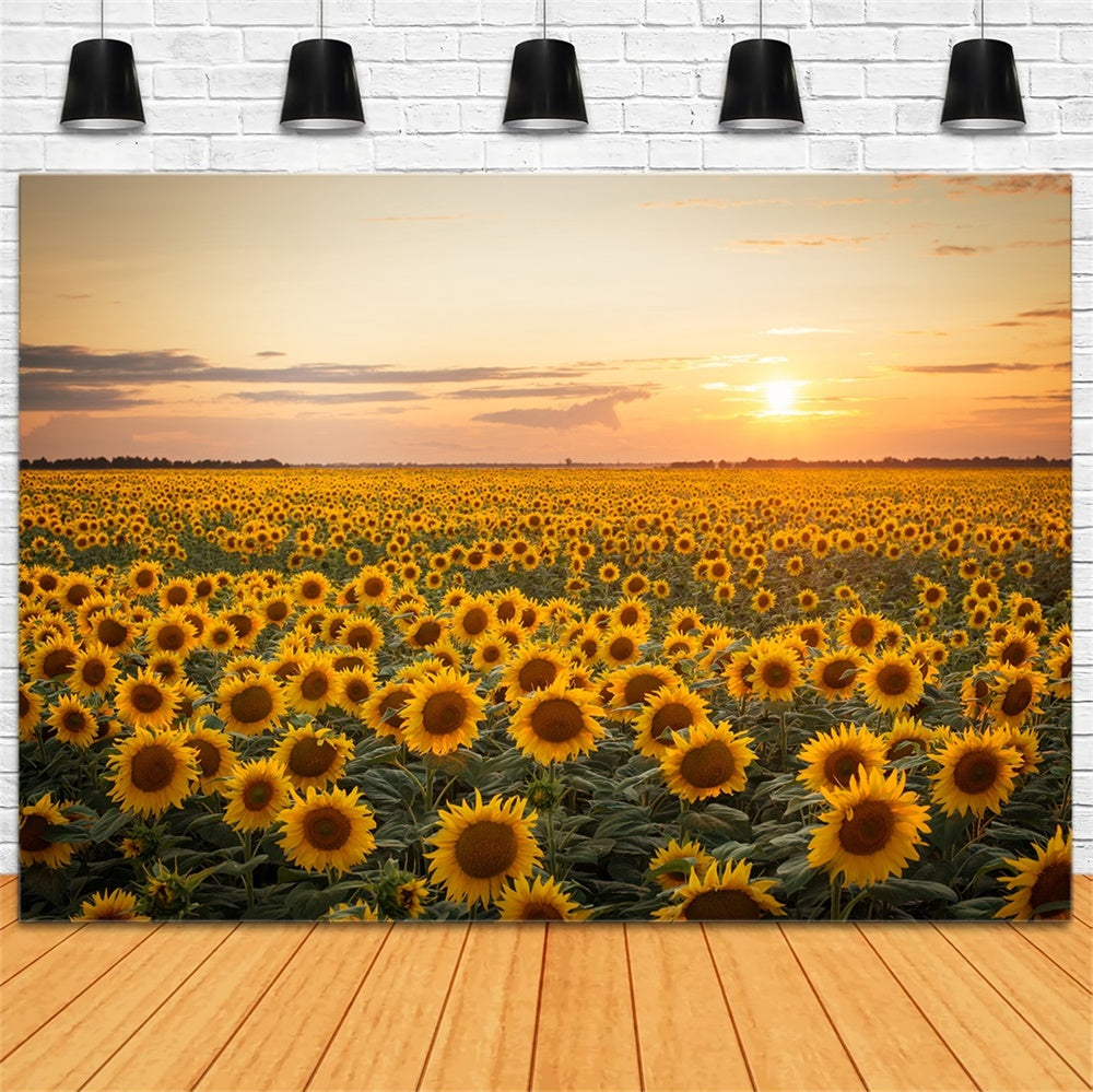 Autumn Sunflower Sunset Photography Backdrop UK BRP7-118 – Dbackdropcouk