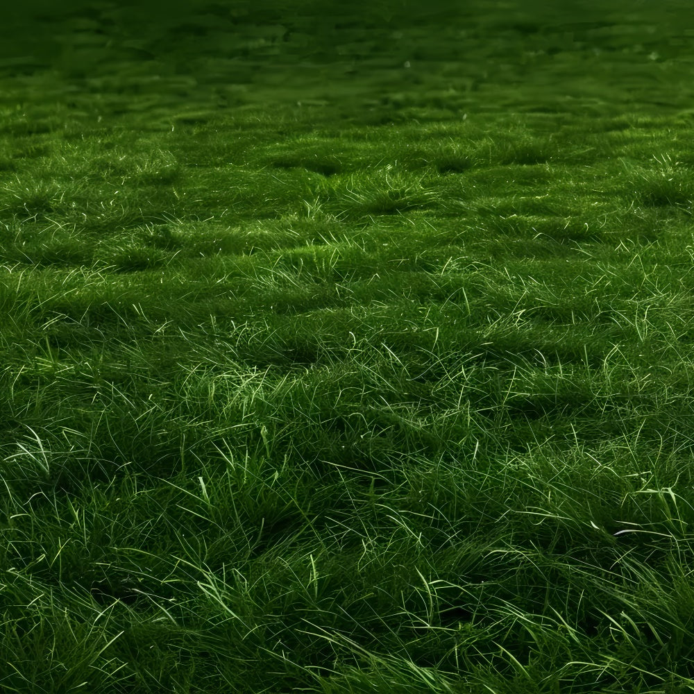Fresh Green Grass Lawn Outdoor Floor Backdrop UK BRP8-288 – Dbackdropcouk