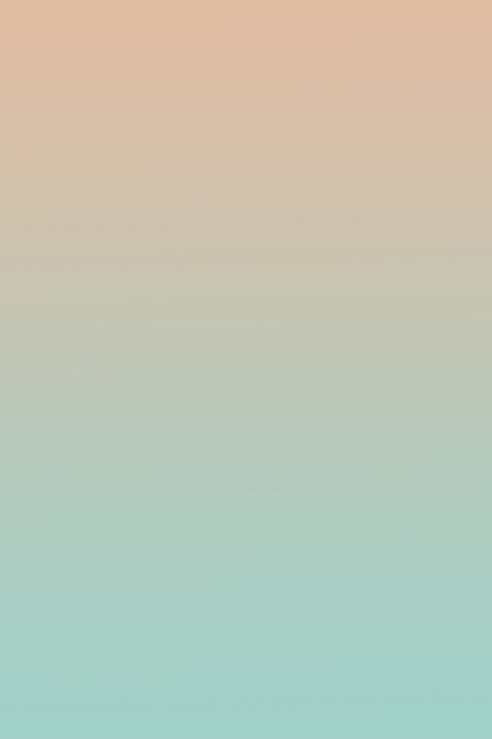 Headshot Backdrop Gradient Blush Green Studio Backdrop UK DBD25-44