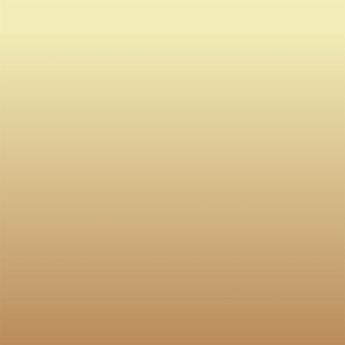 Backdrop Headshot Golden Mocha Gradient Backdrop UK GQ4-216