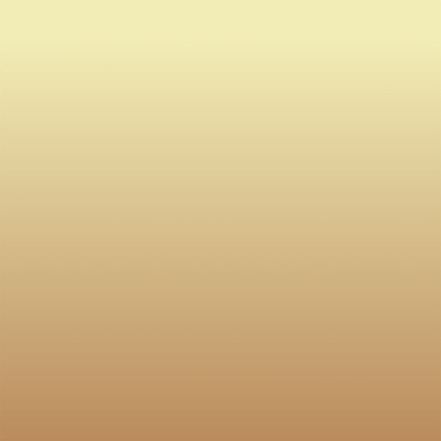 Backdrop Headshot Golden Mocha Gradient Backdrop UK GQ4-216