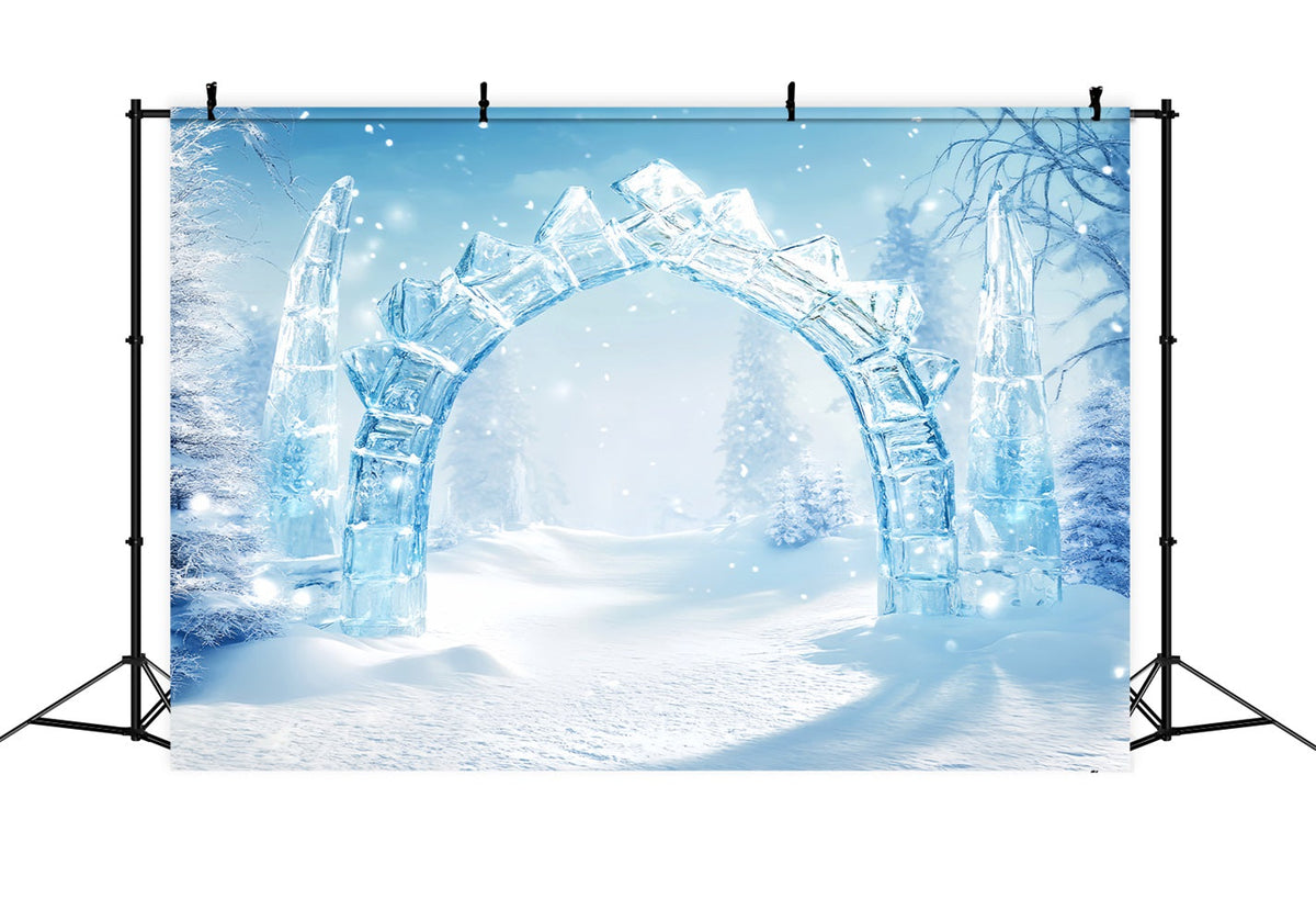 Wonderland Backdrop Crystal Ice Arch Path Winter Photo Backdrops UK LX