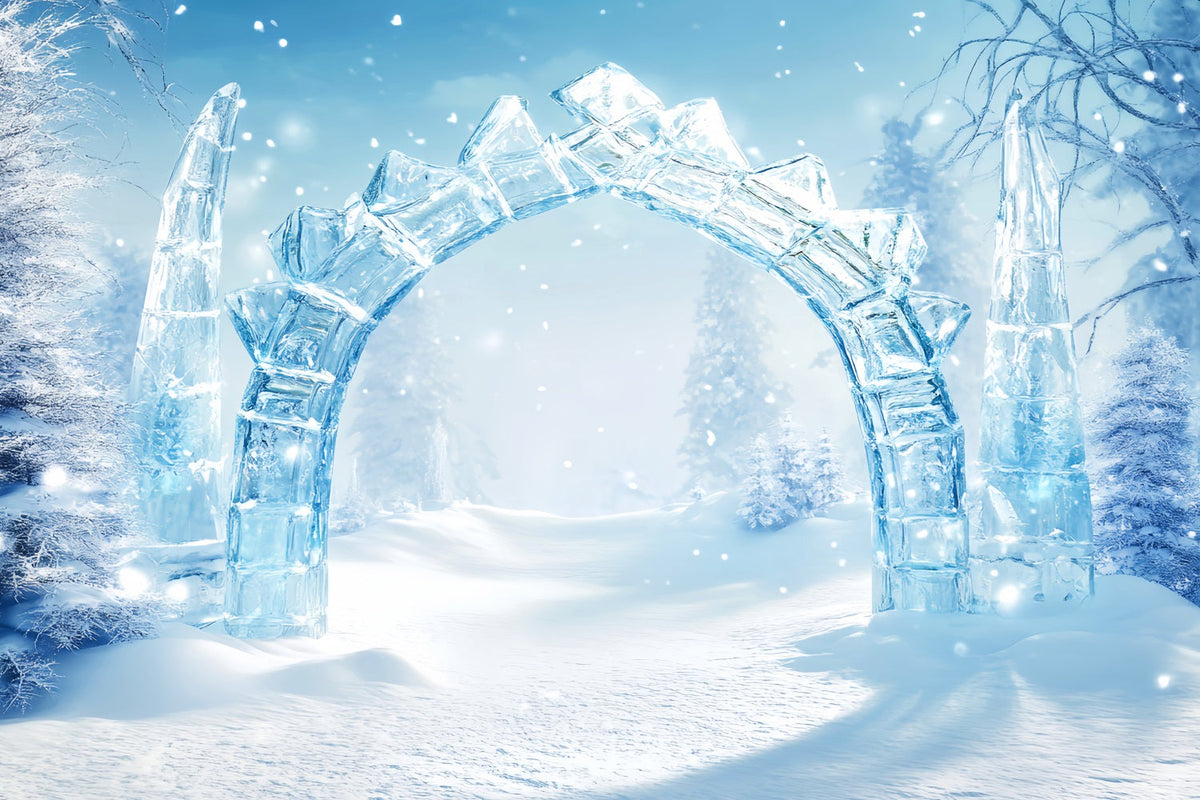 Wonderland Backdrop Crystal Ice Arch Path Winter Photo Backdrops UK LX