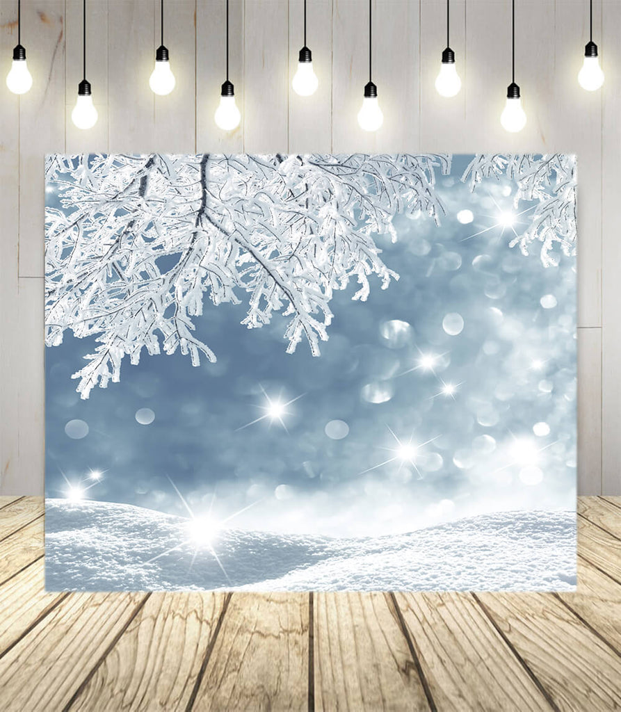 Frozen Winter Snowflake Landscape Backdrop UK M10-49 – Dbackdropcouk