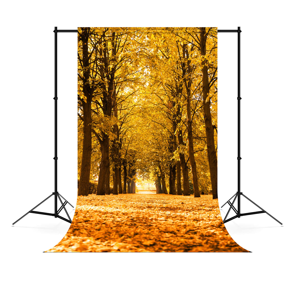 Have a look at our Autumn Photography Backdrops. Dbackdrop offer a ...