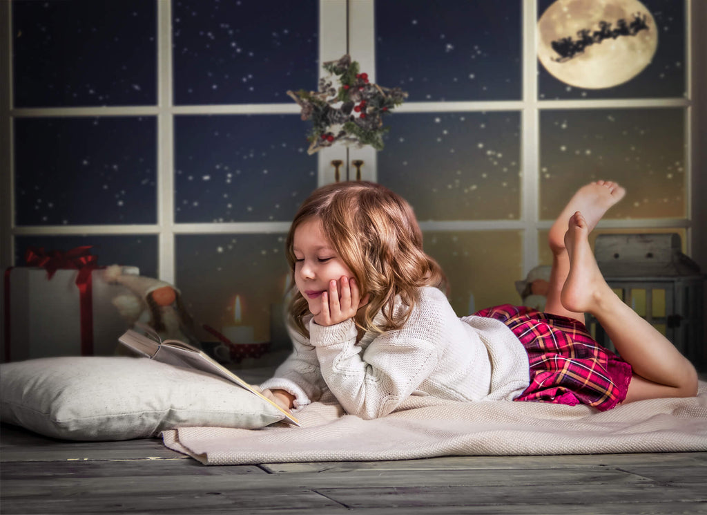 Christmas Window Snowflake Reindeer Backdrop UK M9-72 – Dbackdropcouk