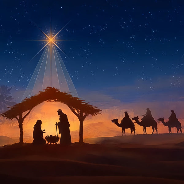 Nativity Backdrop Bethlehem Star Night Journey Christmas Backdrop UK T