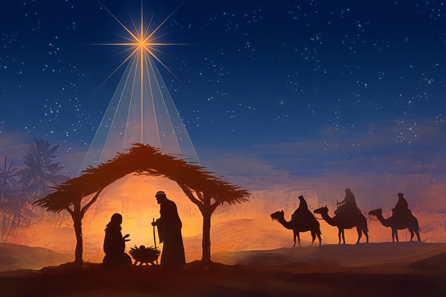 Nativity Backdrop Bethlehem Star Night Journey Christmas Backdrop UK T
