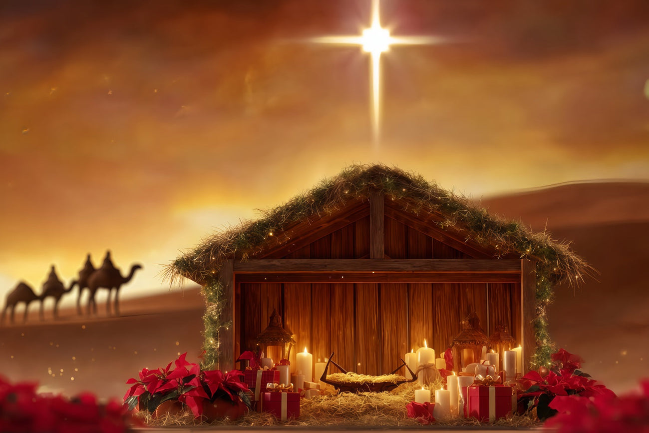 Nativity Backdrop Manger Star Desert Glow Christmas Photo Backdrops UK