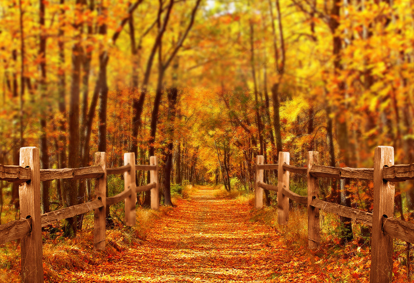Fall Outdoor Road Scene Photo Backdrop D817 – Dbackdropcouk