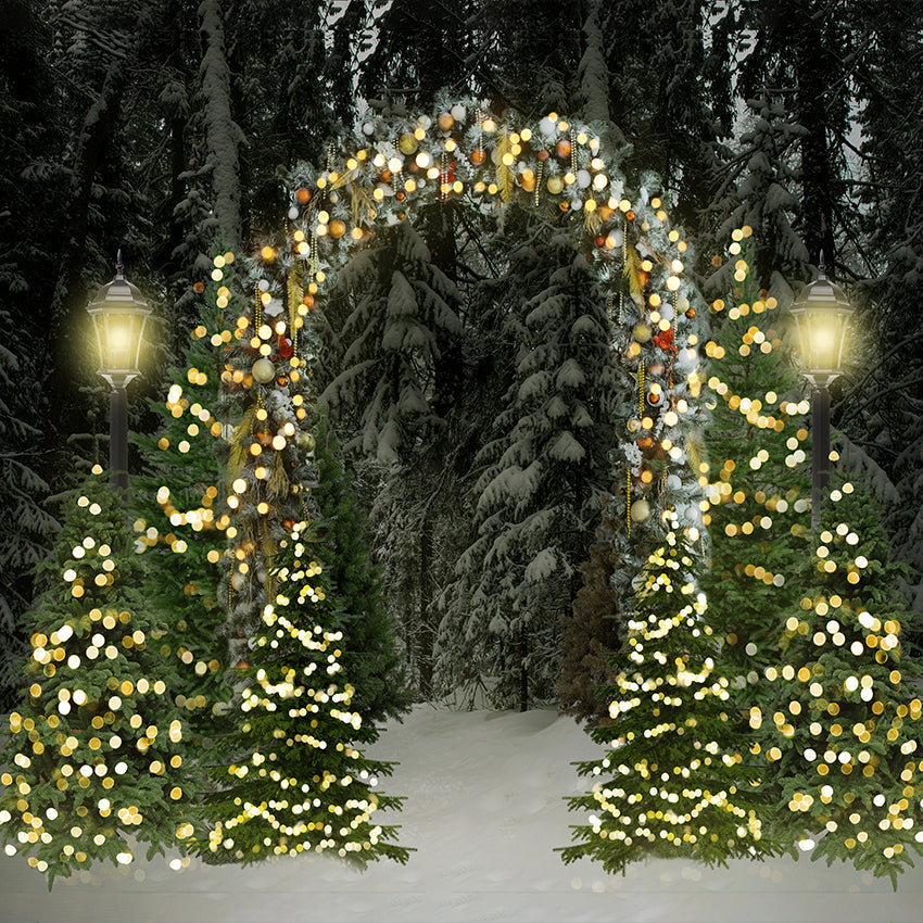 Twinkle Christmas Trees Lights Garden Photography Backdrop D854 ...