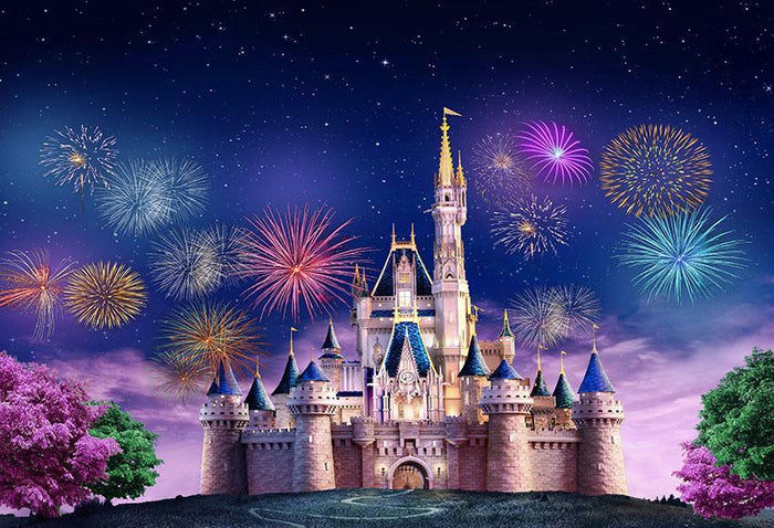 Castle Backdrop UK Photography Background Castle Wall Backdrop UK S-27